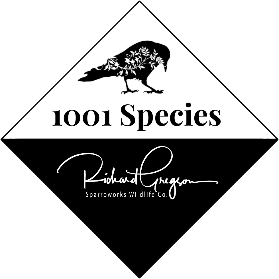 Wildlifing with Richard Gregson – Somethings noticed and recorded